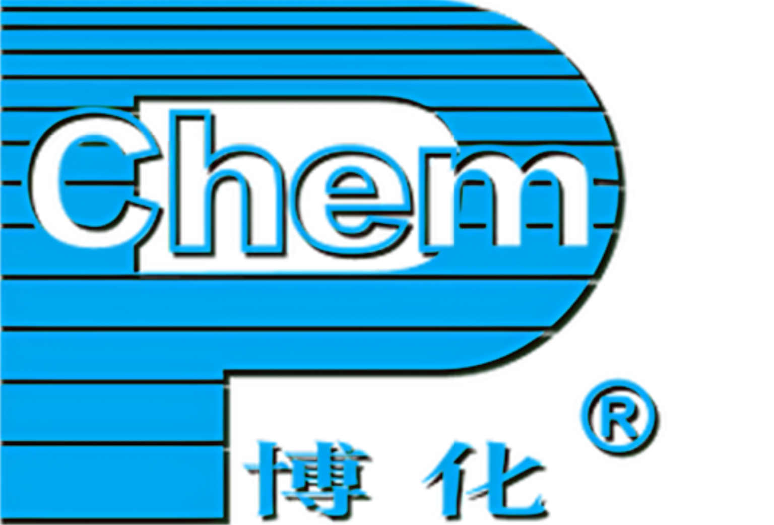 Home | Pioneer Solutions America